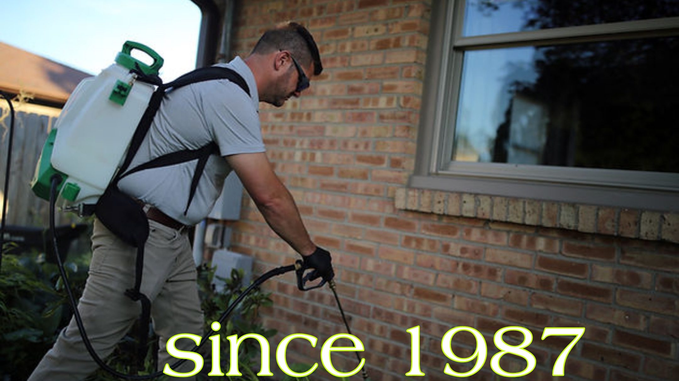 Monthly Pest Control Treatment - Four Seasons Exterminating